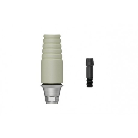 Multi Straight Abutment – Implant Line Georgia